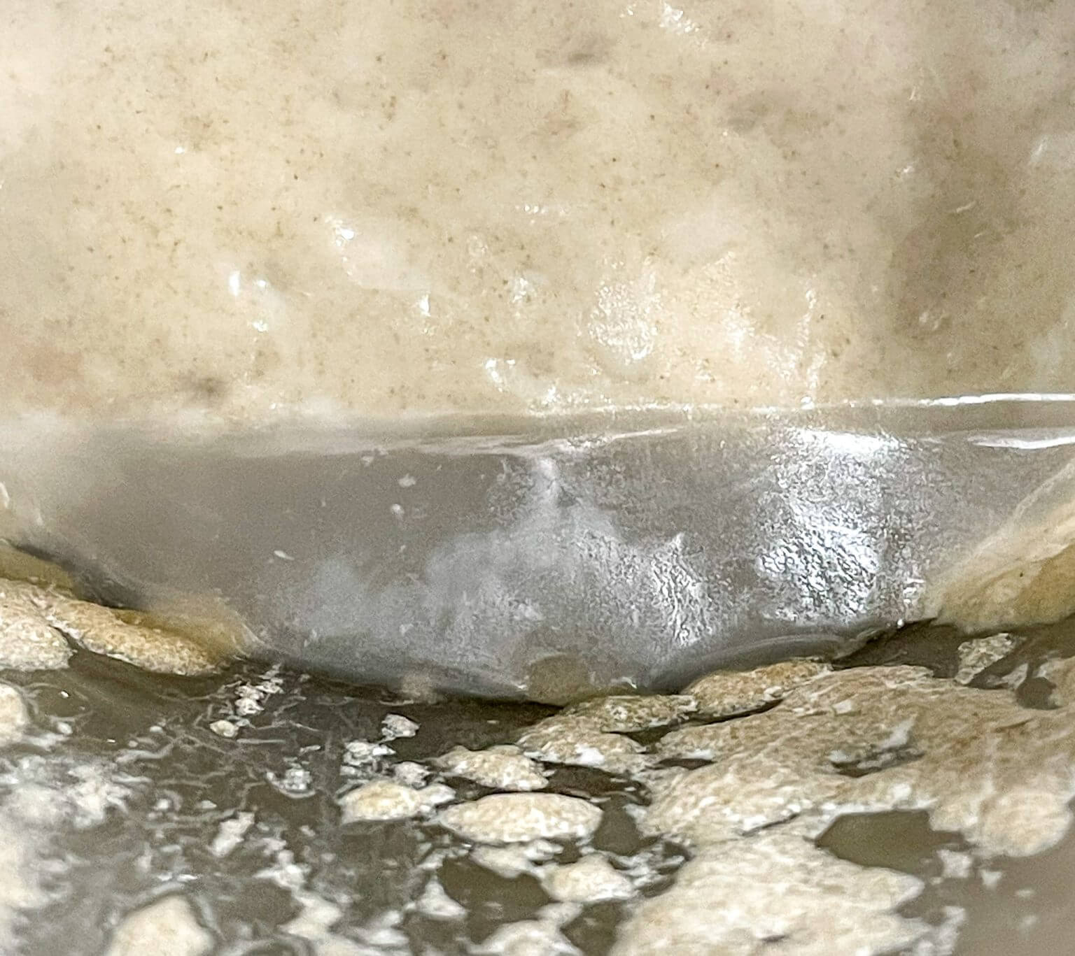 Sourdough Starter Not Rising!: Plus 17 Common Problems & Fail-Proof ...